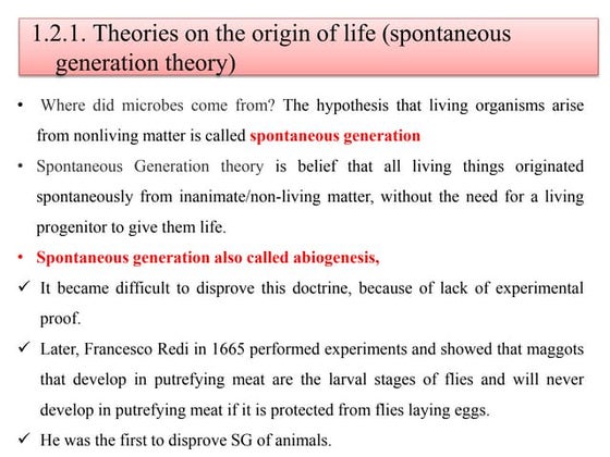 The Origin of the First Life Forms.pptx