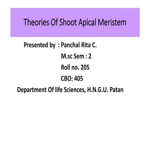 Theory of shoot apical meristem | PPTX
