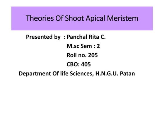 3. Root Apical Meristem and theories of root apical meristem | PPTX ...
