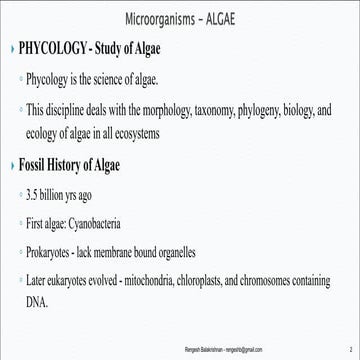 Biochemistry lecture notes proteins | PDF