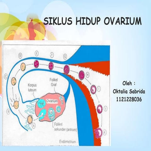 THE OVARIAN LIFE CYCLE.ppt