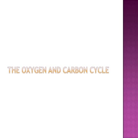 The oxygen and carbon cycle | PPTX