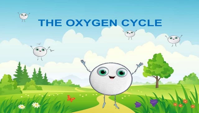 Carbon Oxygen Cycle Animation