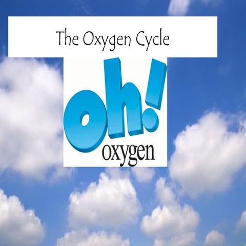 The Oxygen Cycle PowerPoint Presentation | PPT