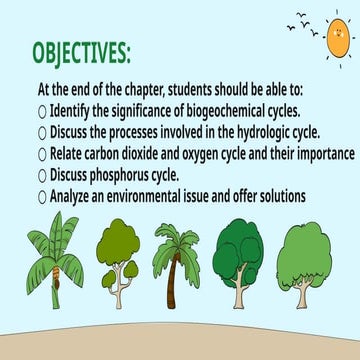 Oxygen cycle | PPT