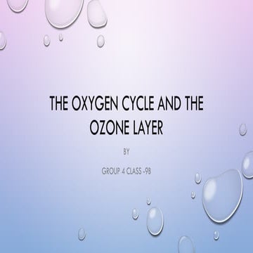 Understanding the Oxygen Cycle and Ozone Layer: Importance and ...