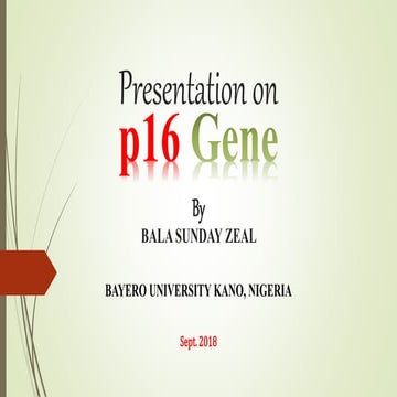 The p16 gene | PPTX
