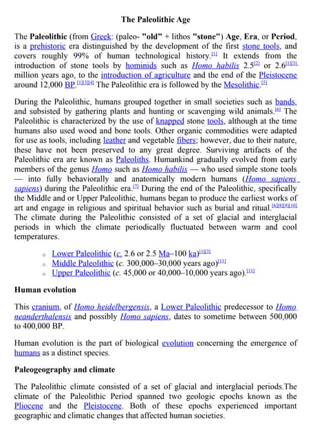 Stone age palaeolithic period | PPTX