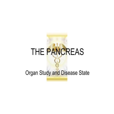 The pancreas | PDF