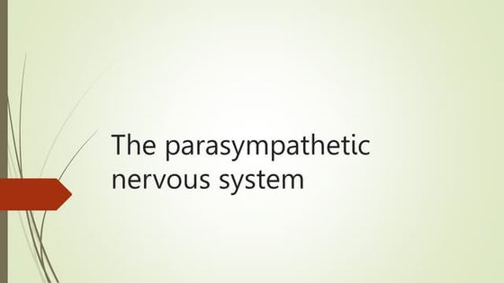 The parasympathetic nervous system | PPT