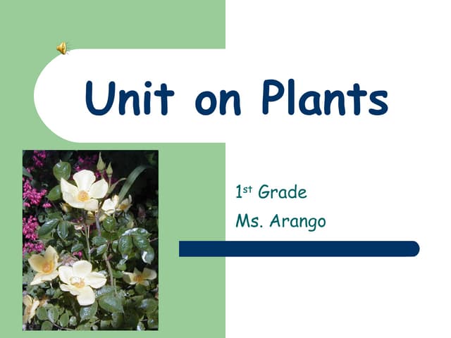 Parts of the plants and their functions | PPT
