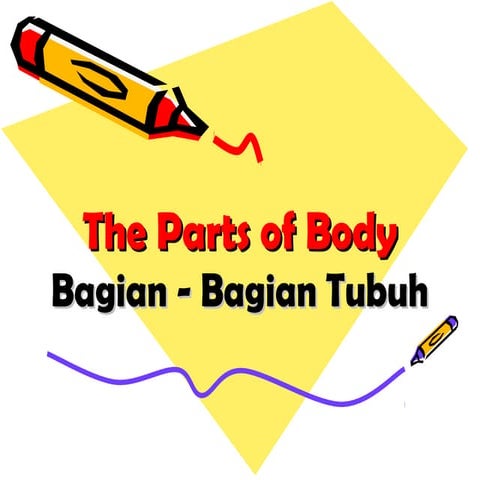 The parts of body | PPT