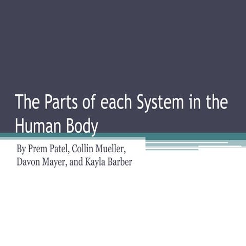 The parts of each system in the human body | PPTX