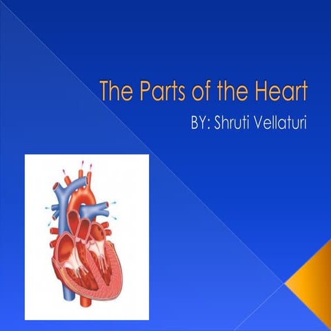 The Parts of the Heart | PPTX