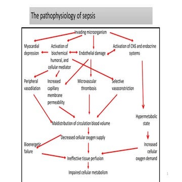 The Pathophysiology Of Sepsis Pptx