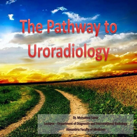 The pathway to uroradiology | PDF