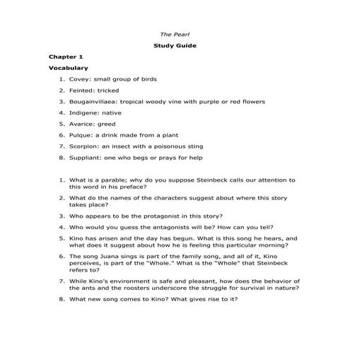 The Pearl Study Guide Chapter 1 | DOC