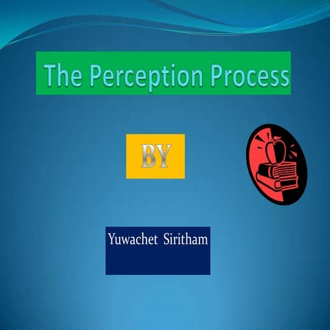 The perception process | PPSX