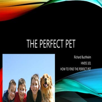 The perfect pet | PPTX