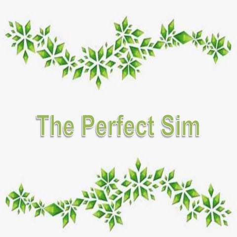 The Perfect Sim (Chapter One) | PPT