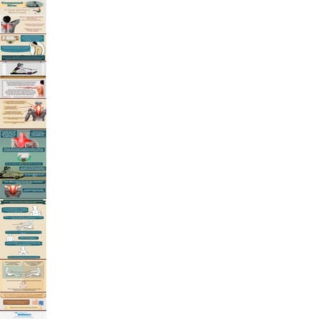 INFOGRAPHIC: Compound Row: A Desk Worker’s Best Friend | PDF