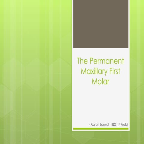 The Permanent Maxillary First Molar | PPT