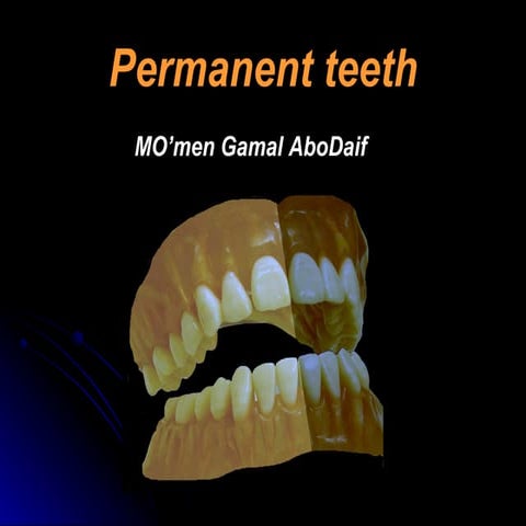 The permanent teeth | PPT