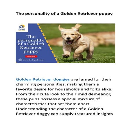 The personality of a Golden Retriever puppy.docx