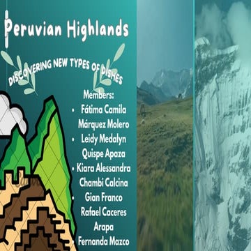 The Peruvian highlands (presentacion en ingles) | PDF