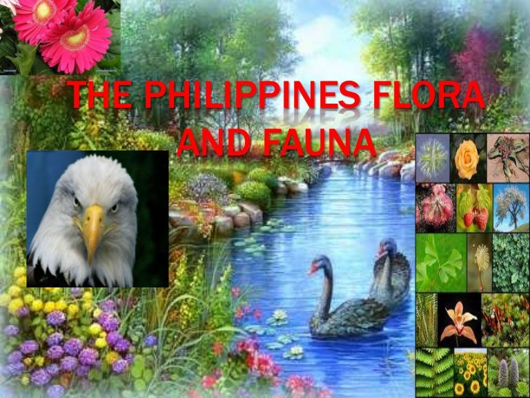 The philippine flora and fauna