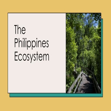 The Philippines Ecosystem: Rich and Diverse.pptx