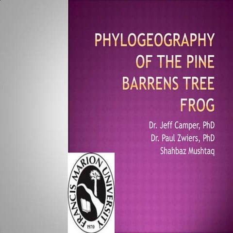 The pine barrens tree frog | PPT
