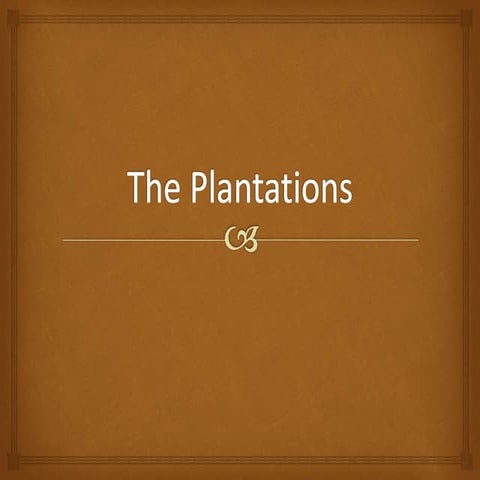 The Plantations | PPTX