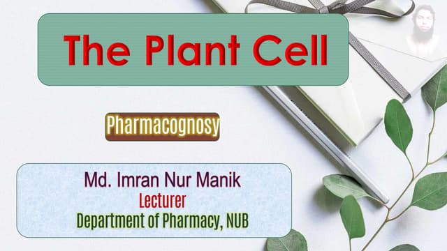 Postnatal care MANIK | PPTX