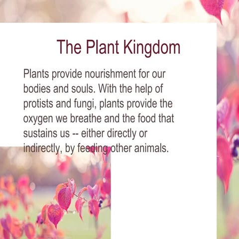 The plant kingdom | PPT