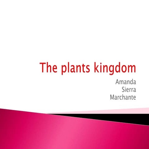 The plants kingdom | PPT