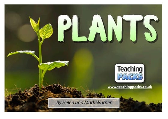 Second Grade Science: Plants | PPT