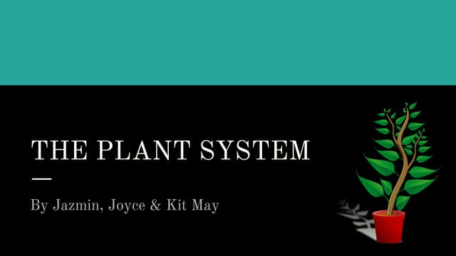 Plant structure and function powerpoint | PPT | Gardening | Home & Garden