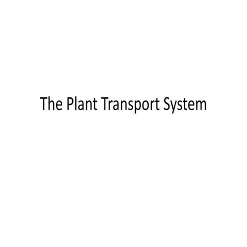 The plant transport system | PPTX