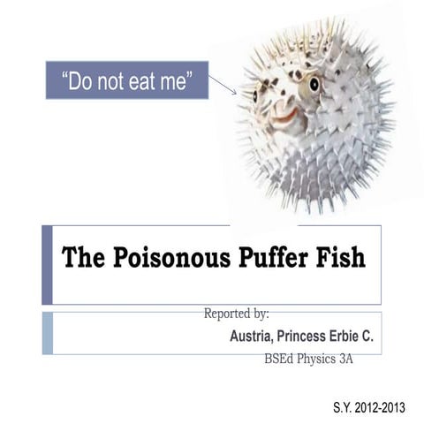 The Poisonous Puffer Fish - Chemistry | PPTX | Brain and Nervous System ...