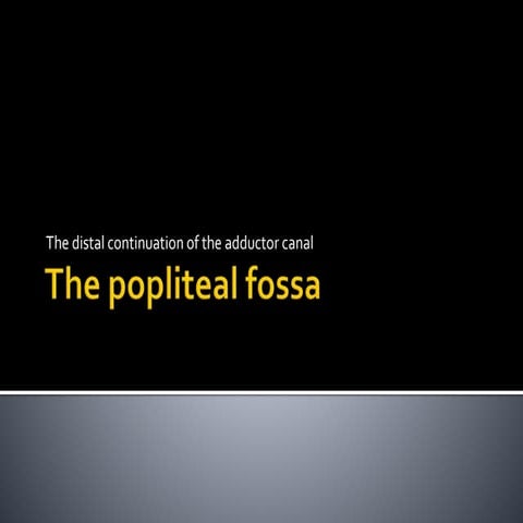 The popliteal fossa | PPTX