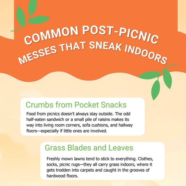 The Post-Picnic Clean-Up Plan Dealing with Crumbs, Grass, and Sticky ...