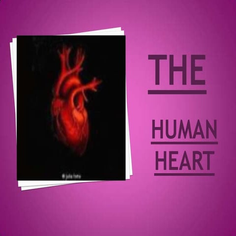 The Human Heart | PPTX