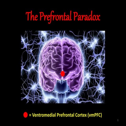 The Prefrontal Paradox | PPTX | Brain and Nervous System Disorders ...