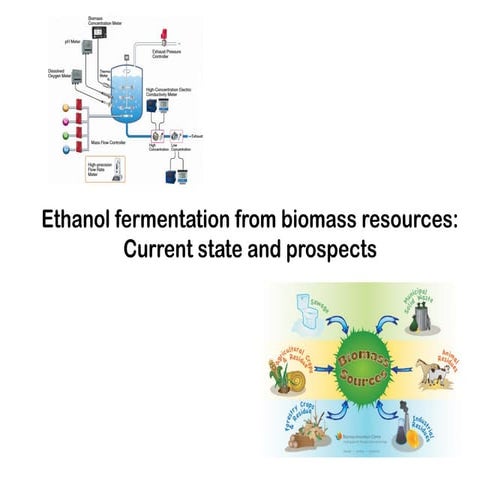 ETHANOL FERMENTATION USING BIOMASS | PDF