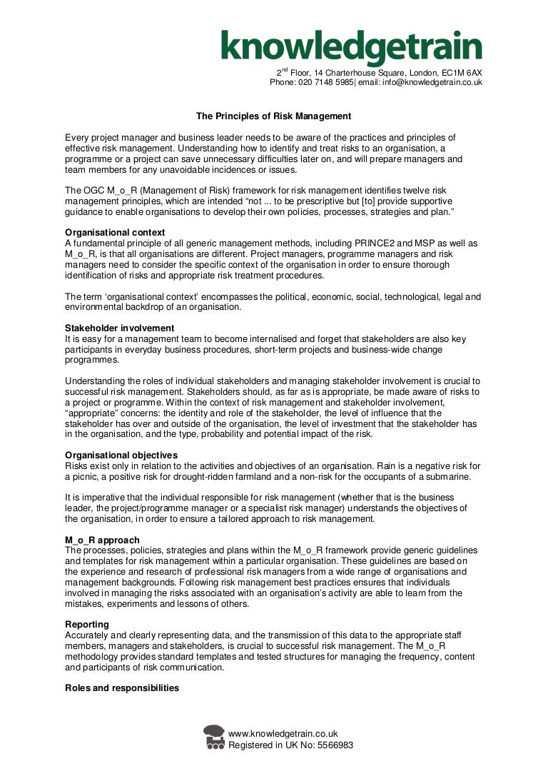 The Principles Of Risk Management the-principles-of-risk-management