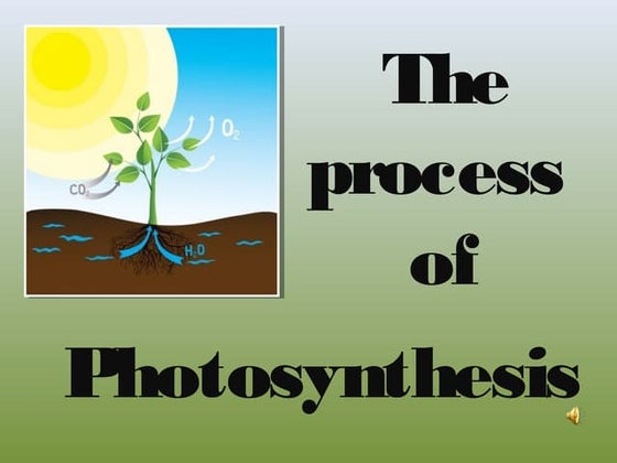 photosynthesis and respiration | PPT