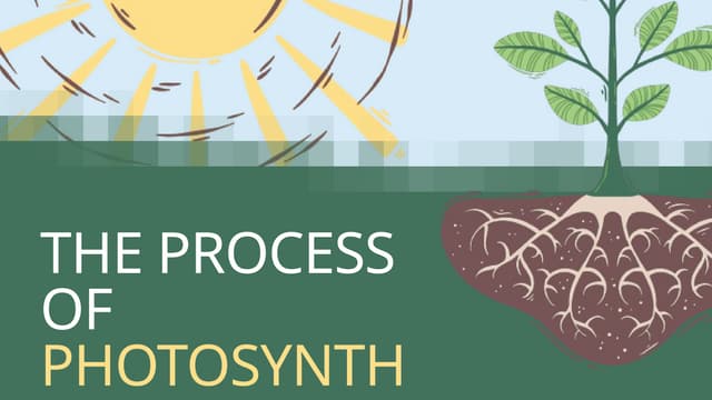 The importance of photosynthesis in the ecosystem | PPTX