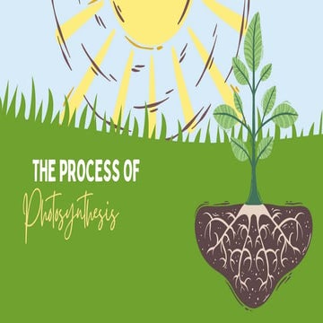 The importance of photosynthesis in the ecosystem | PPTX