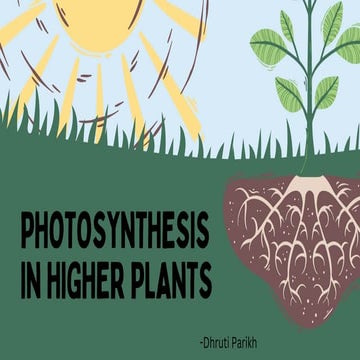Photosynthesis (class 10) | PPTX